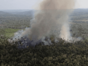 Home [miradorbasin.com]